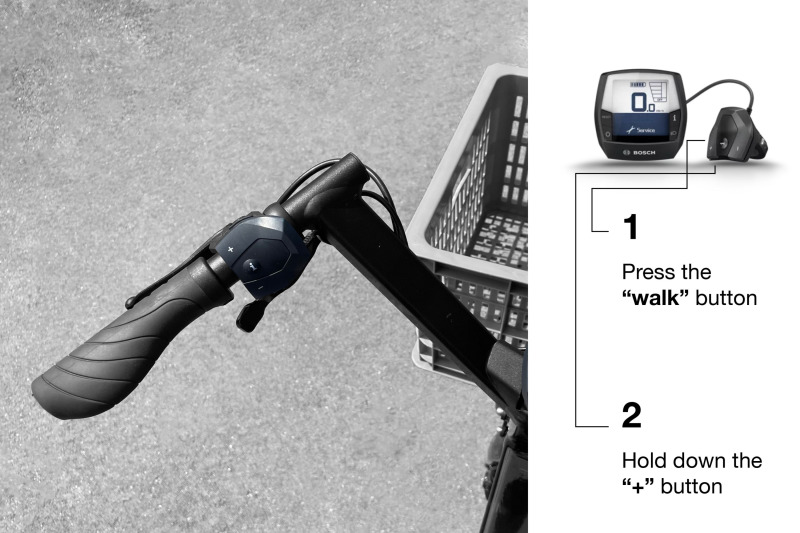 How to activate walk assist on a Bosch display: complete guide ...